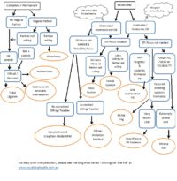 Choosing Contraception Roadmap - Equilibria Physiotherapy & Nutrition
