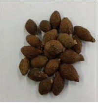 No More Normafibe - What Do I Do Instead? - Equilibria Physiotherapy ...